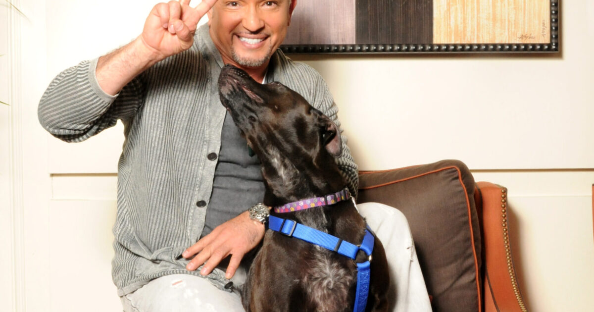 The Dog Whisperer’s Cesar Millan Explains How Dogs Can Teach Us To Be ...