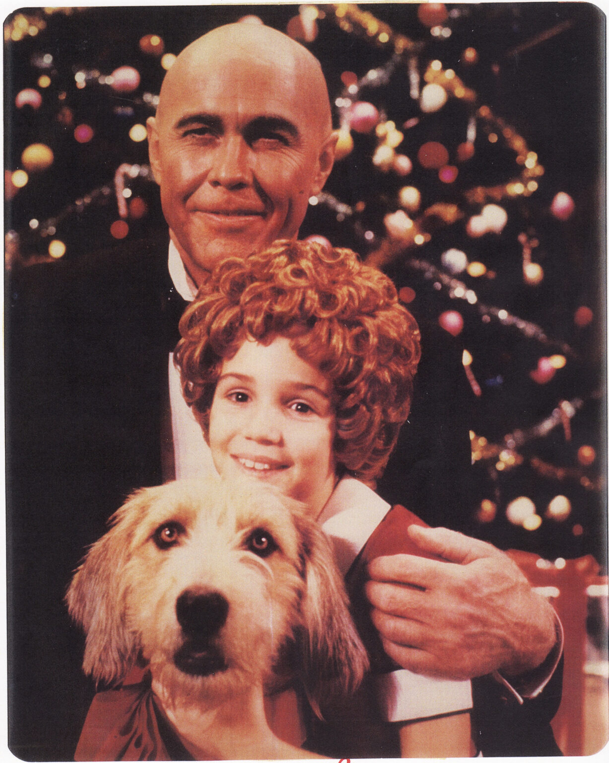 Brace Yourself: Annie Actress Rosanne Sorrentino Is Nothing Like Her ...