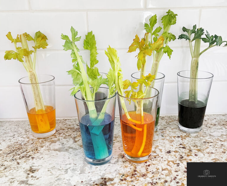 The Celery Food Coloring Experiment Is Fun For Your Budding Botanist ...